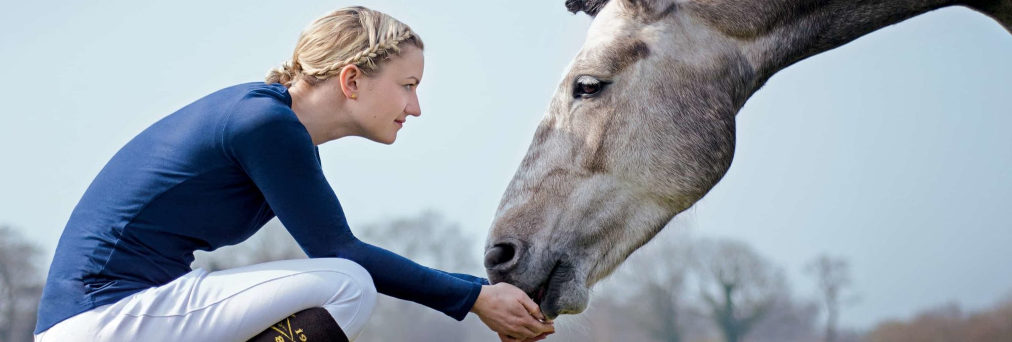 Horse Feed & Premium Equine Nutrition | Kent Feeds - Blue Seal