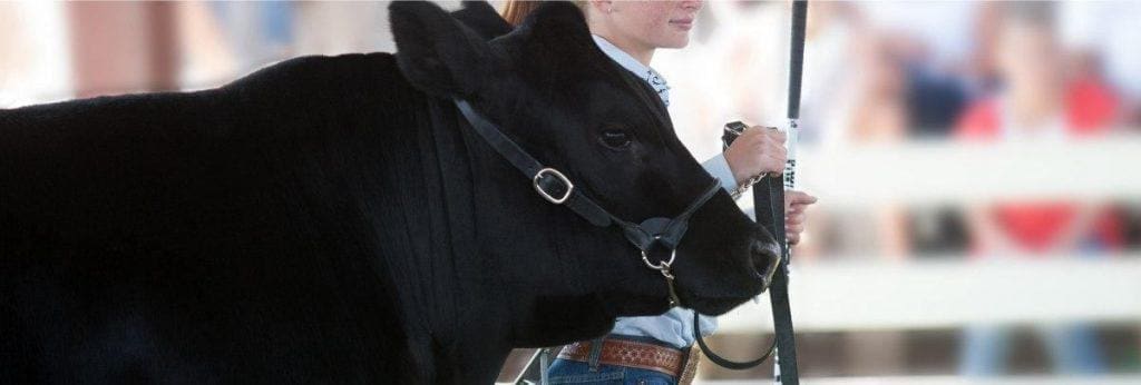 Product Lines | Kent Feeds - Blue Seal