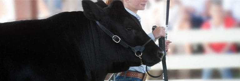 Product Lines | Kent Feeds - Blue Seal