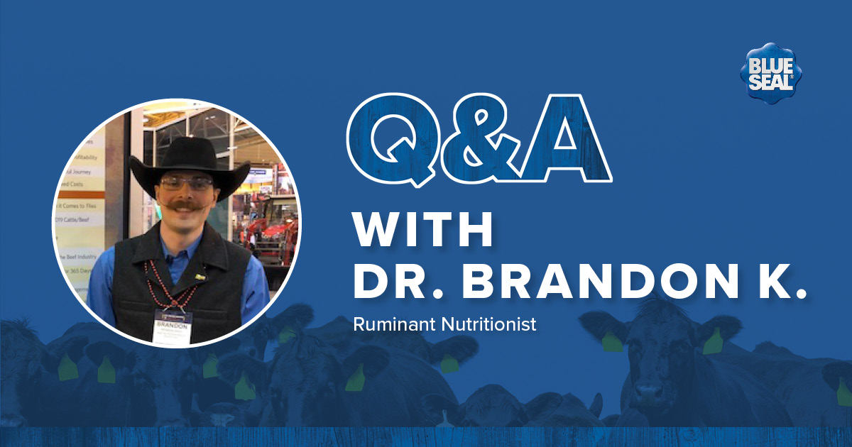 Q&A with Dr. Brandon Koch, Ruminant Nutritionist | Kent Feeds - Blue Seal