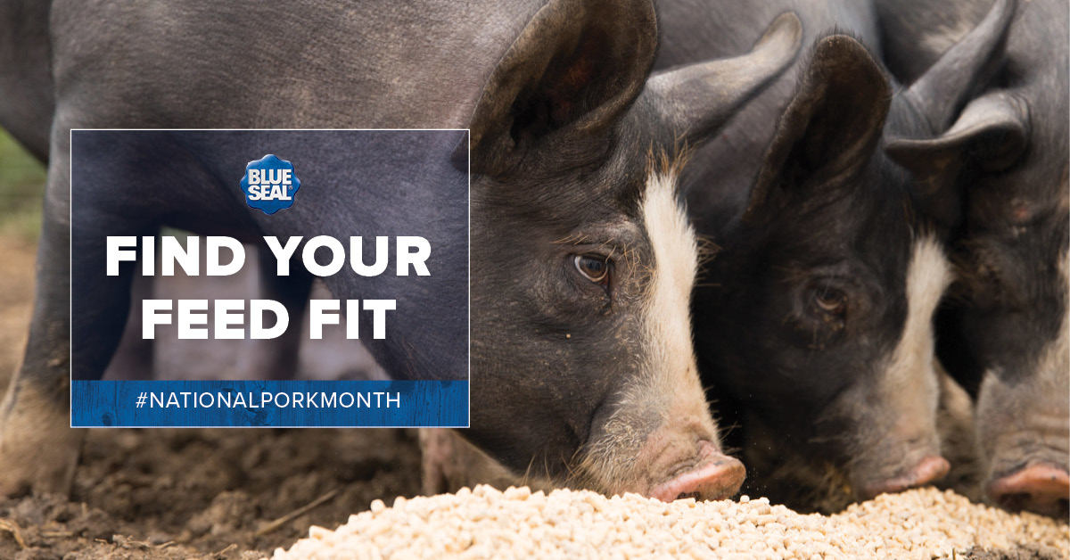 National Pork Month: A product for every producer | Kent Feeds - Blue Seal