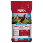 Best Chicken Feed for Poultry | Kent Feeds - Blue Seal