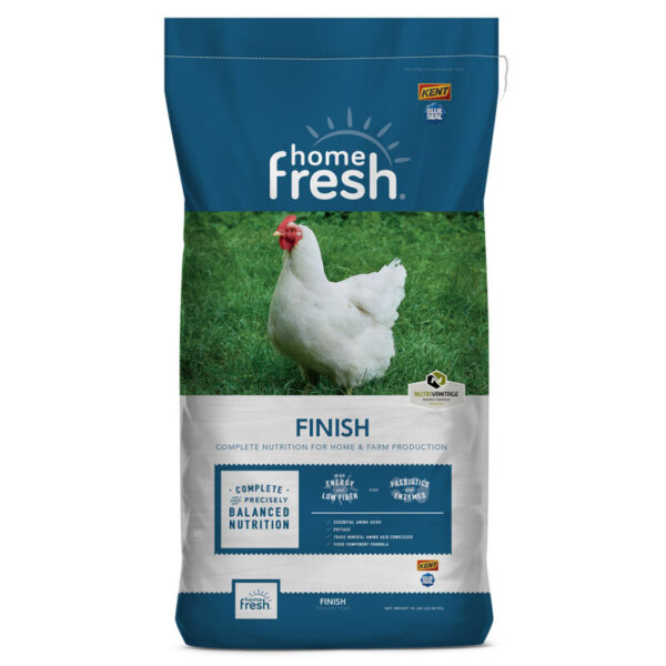 Best Chicken Feed for Poultry | Kent Feeds - Blue Seal