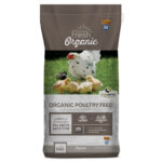 Best Chicken Feed for Poultry | Kent Feeds - Blue Seal