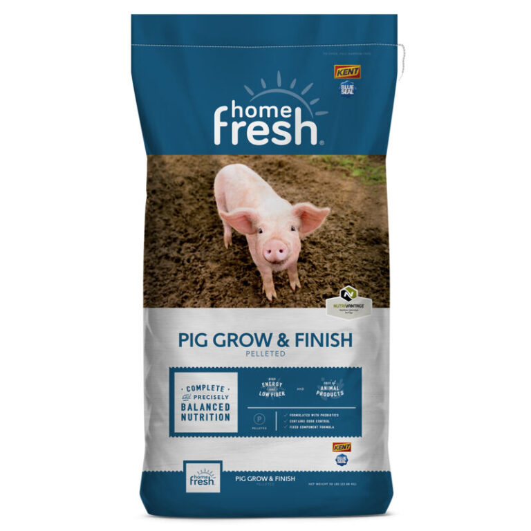Home Fresh Pig Feed | Kent Feeds - Blue Seal