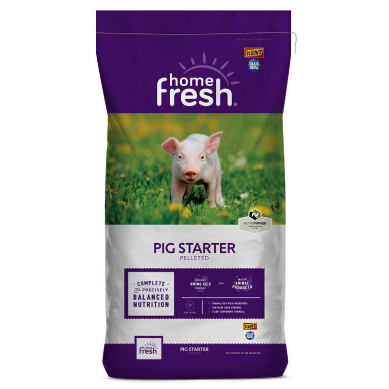 Home Fresh Pig Starter | Kent Feeds - Blue Seal