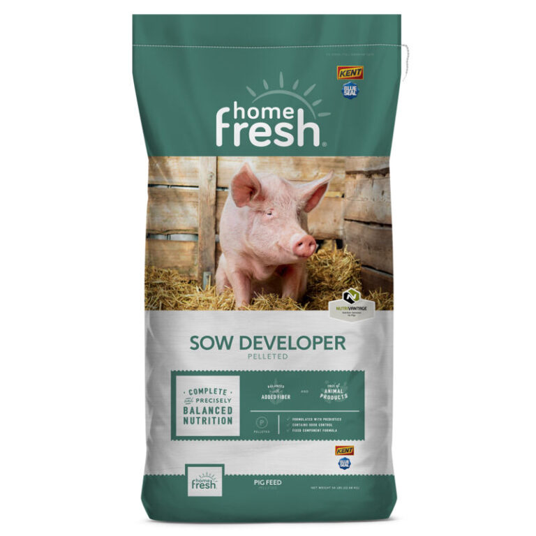 Home Fresh Pig Feed | Kent Feeds - Blue Seal