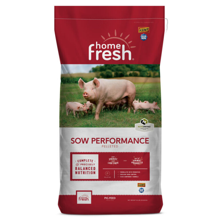Home Fresh Pig Feed | Kent Feeds - Blue Seal