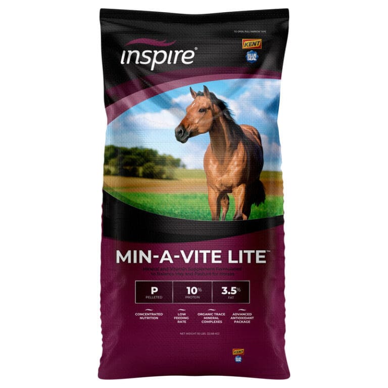 Horse Feed & Premium Equine Nutrition | Kent Feeds - Blue Seal