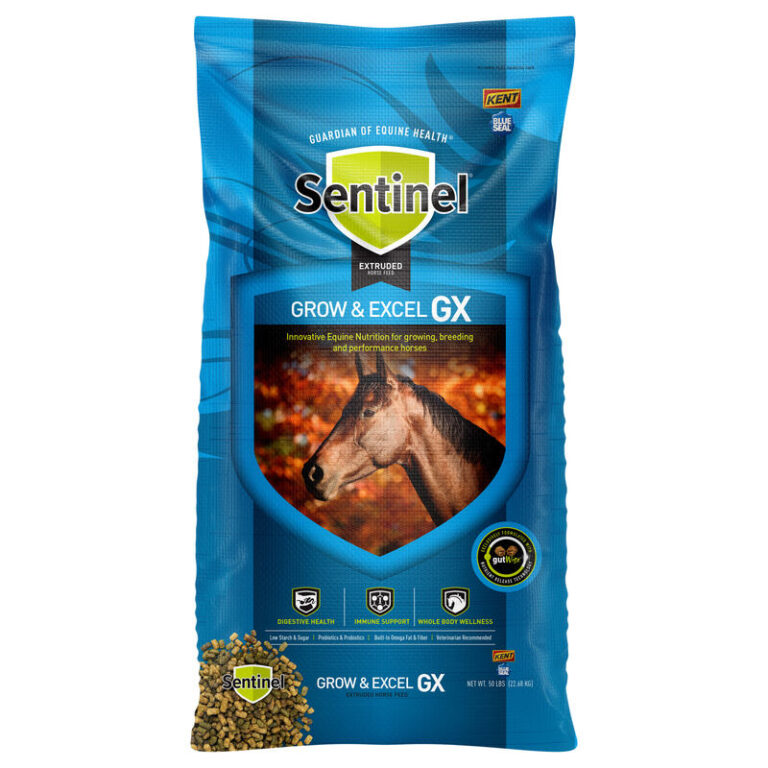 Horse Feed & Premium Equine Nutrition | Kent Feeds - Blue Seal