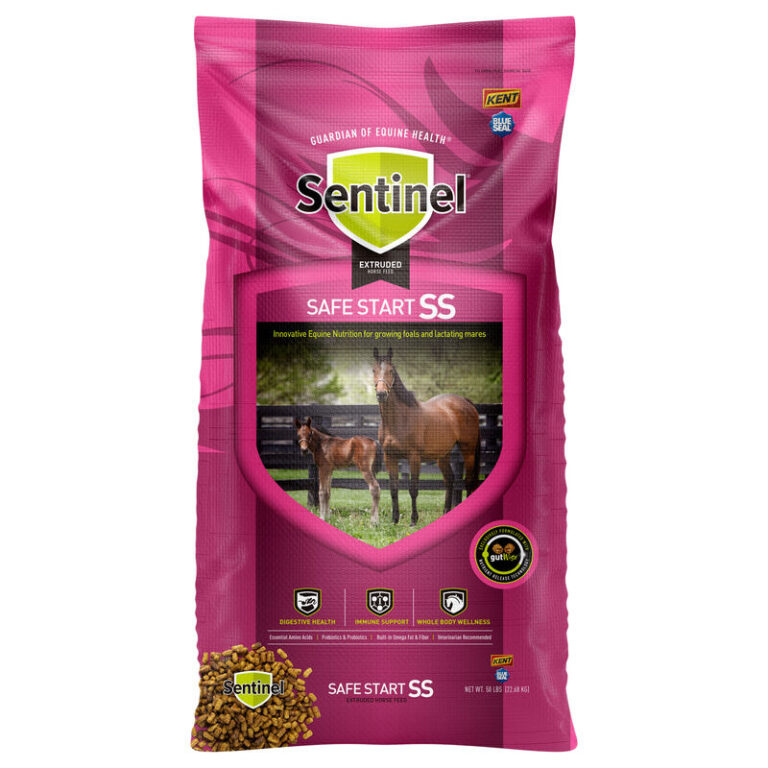 Horse Feed & Premium Equine Nutrition | Kent Feeds - Blue Seal