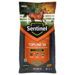 Sentinel Care Horse Feed & Supplements | Kent Feeds - Blue Seal