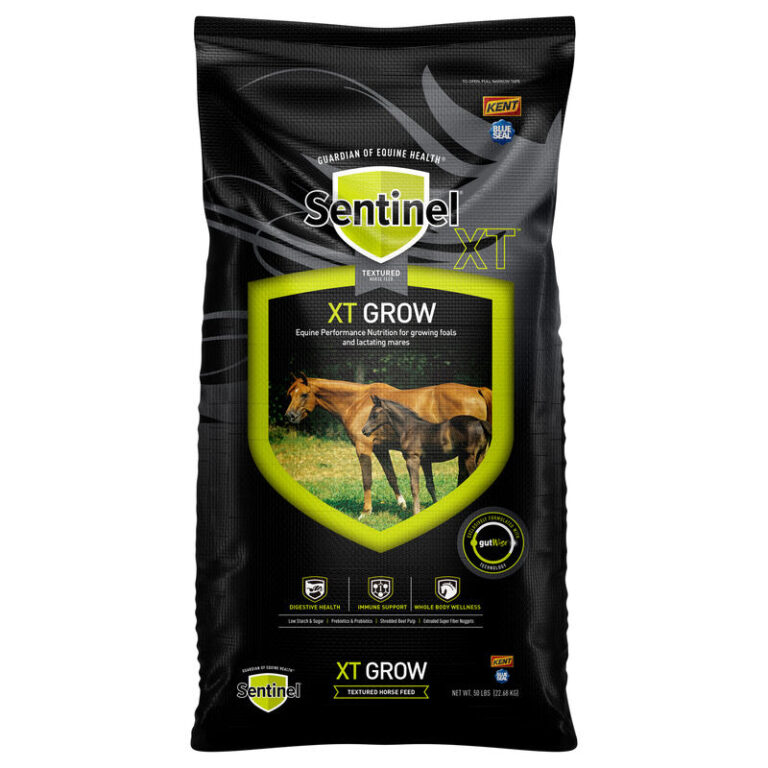 Sentinel Horse Feeds | KENT Nutrition