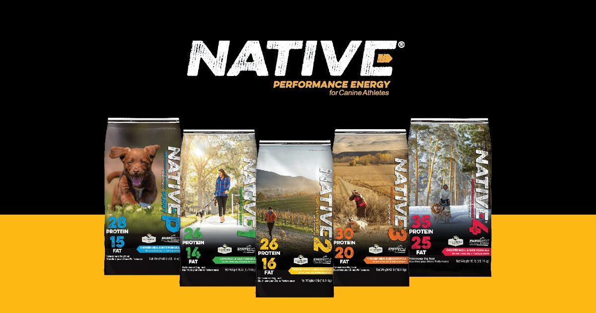 Show Cattle Feed | KENT Nutrition