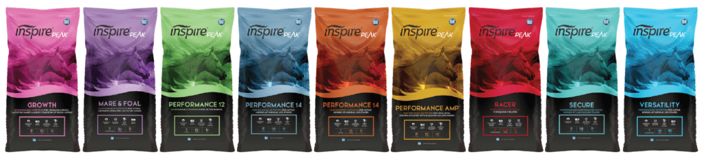 Animal Feeds & Supplements for Quality Nutrition | Kent Feeds - Blue Seal