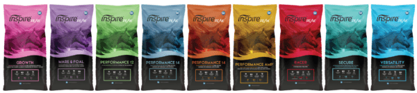 Animal Feeds & Supplements for Quality Nutrition | Kent Feeds - Blue Seal