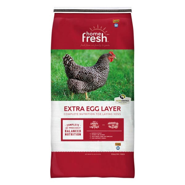 Poultry • Layer | Kent Feeds - Blue Seal