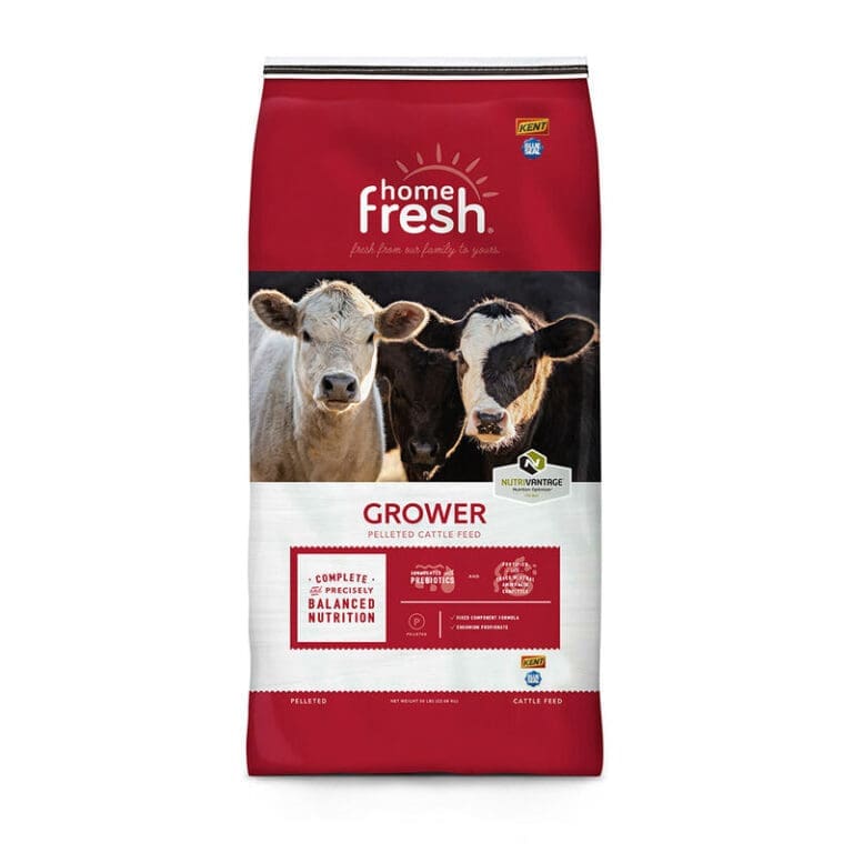Cattle Grower Feed | Kent Feeds - Blue Seal