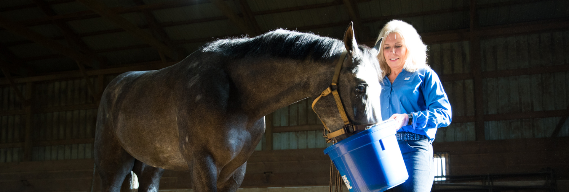 Kristyn Sturken: Horse Feed & Nutrition Guide | Kent Feeds - Blue Seal