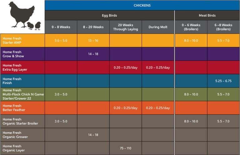Home Fresh Chicken & Poultry Feeds | Kent Feeds - Blue Seal