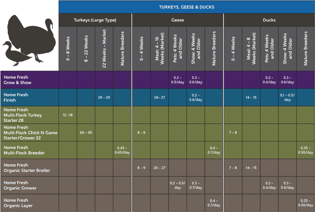 Home Fresh Chicken & Poultry Feeds | Kent Feeds - Blue Seal