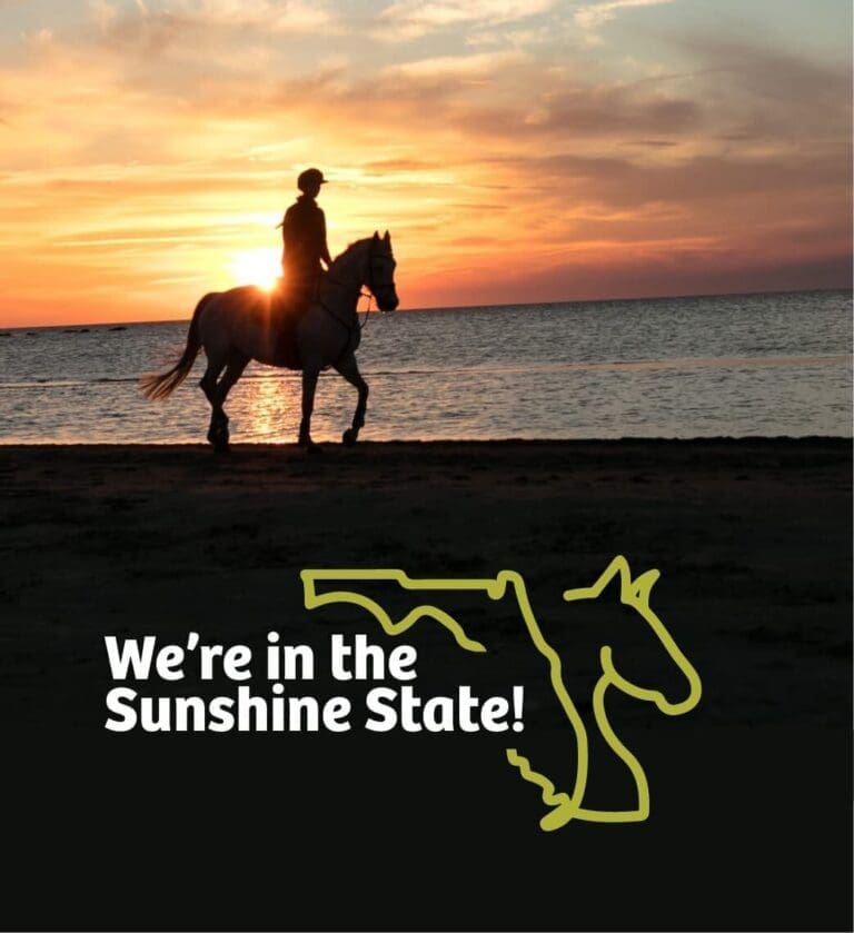 Animal Feeds & Supplements for Quality Nutrition | Kent Feeds - Blue Seal