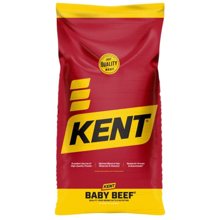 Baby Beef 44 | Kent Feeds - Blue Seal
