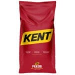 Dairy | Kent Feeds - Blue Seal