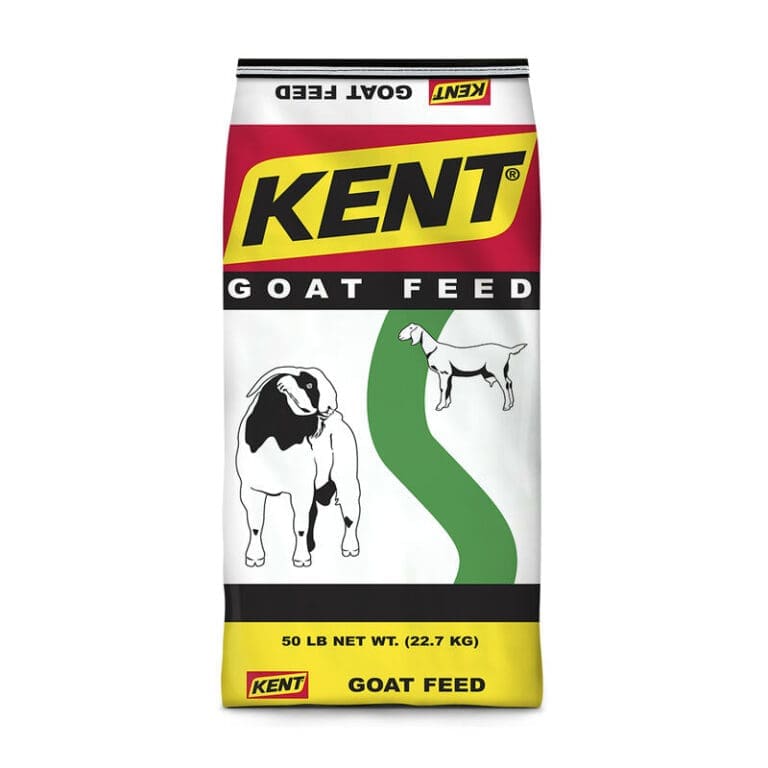 Goat | Kent Feeds - Blue Seal