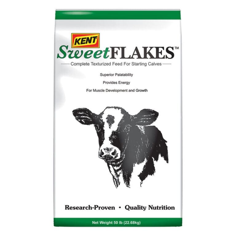 Dairy | Kent Feeds - Blue Seal