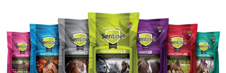 Sentinel Equine Nutrition Veterinarian Hub | Kent Feeds - Blue Seal