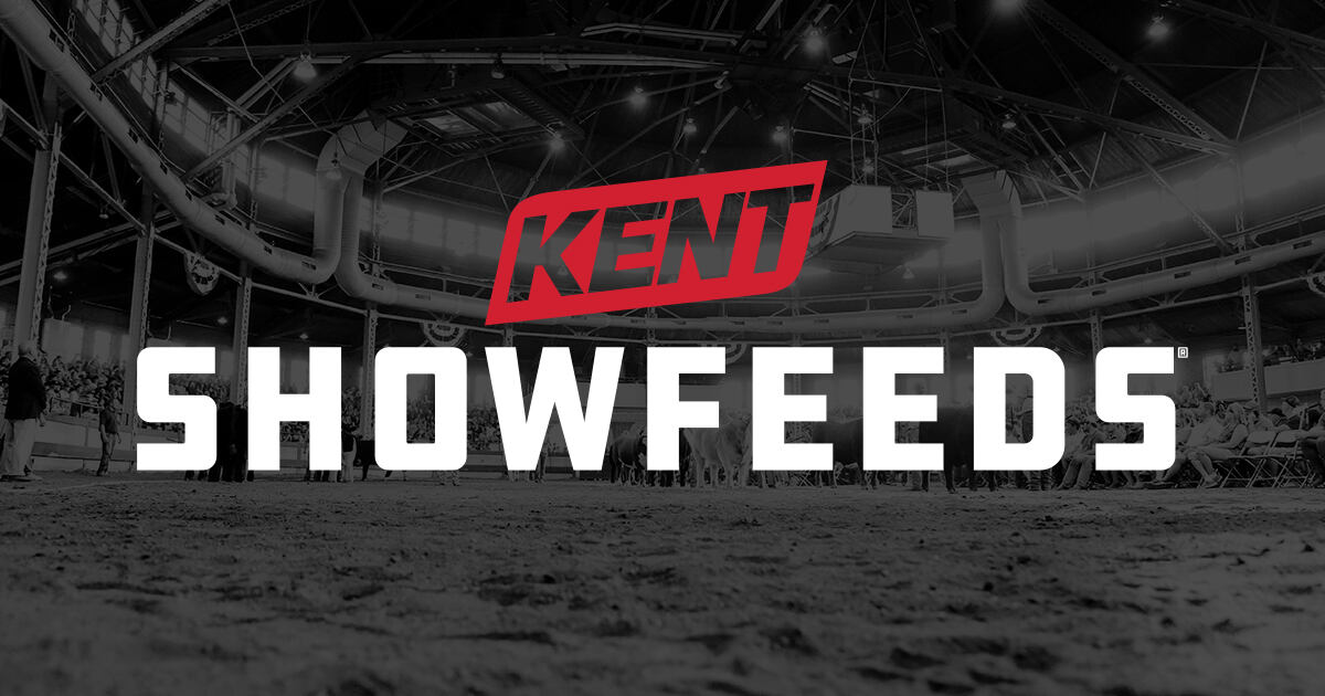 Show Feeds - Kent