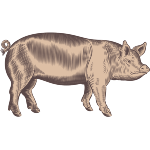 Field & Farm Pig and Hog Feed - Kent