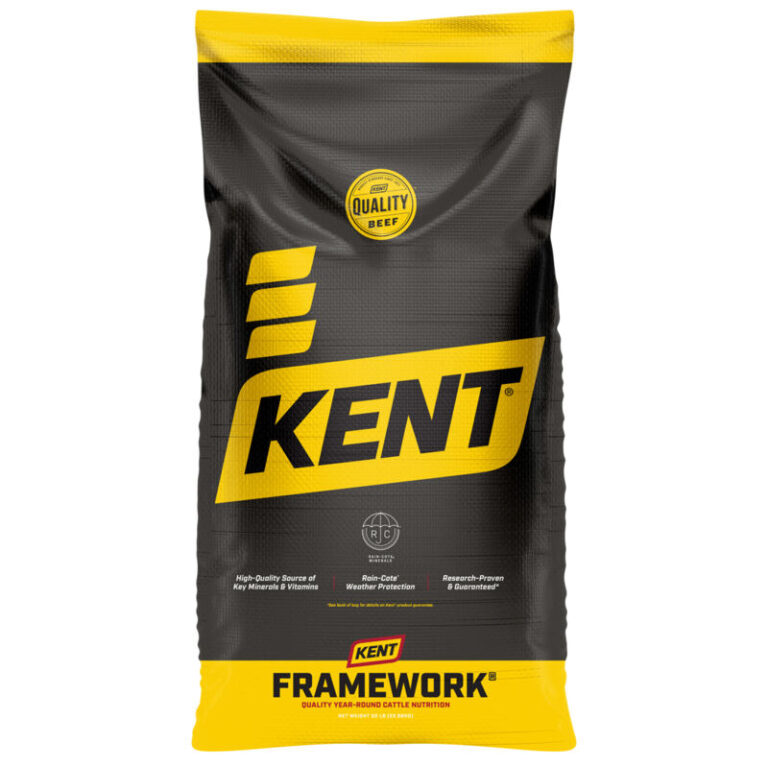 Beef Cattle • Vitamins & Minerals | Kent