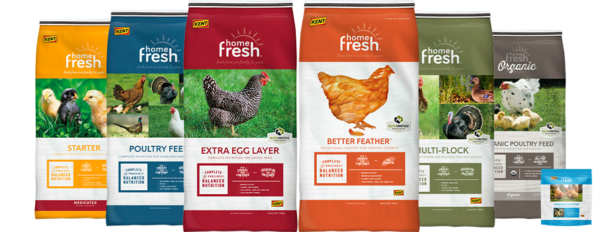 Home Fresh Chicken & Poultry Feeds - Kent