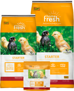 Home Fresh Poultry | Kent