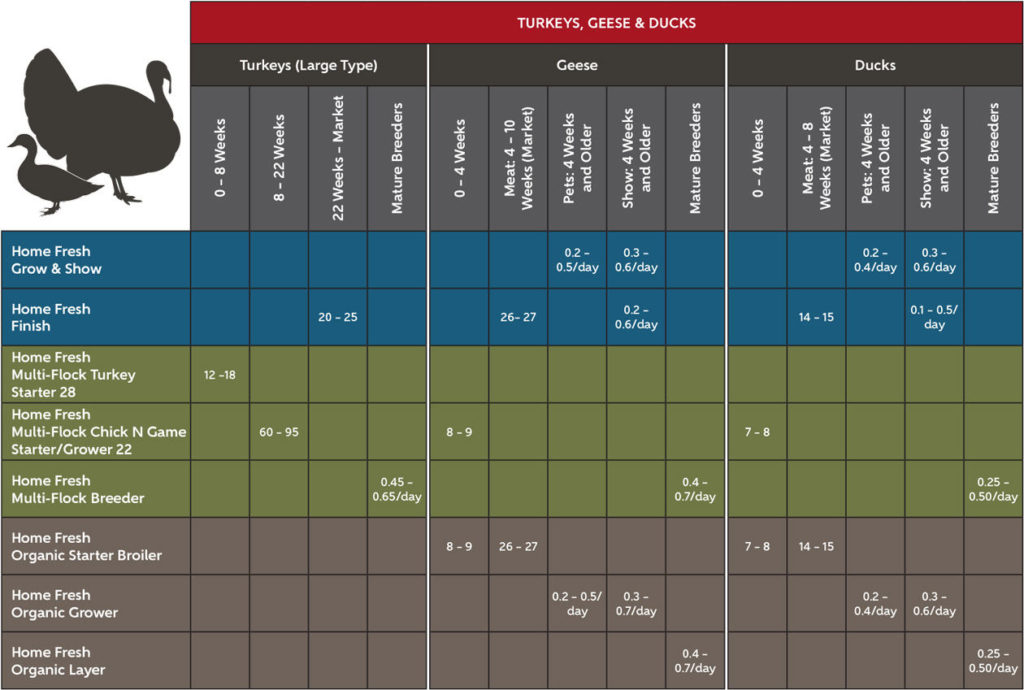 Home Fresh Chicken & Poultry Feeds - Kent