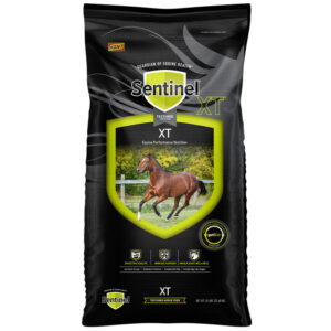 Sentinel Horse Feeds | Kent
