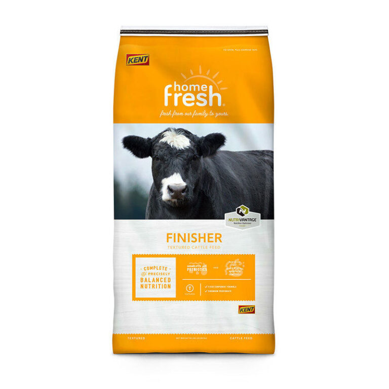 Complete Feeds for Cattle - Kent