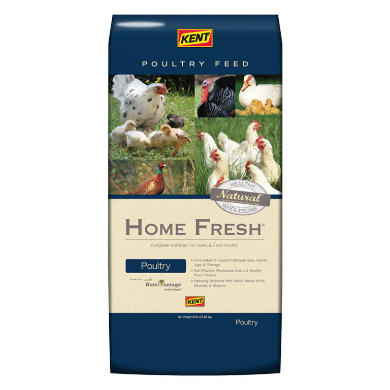Poultry Feed For All Life Stages - Kent