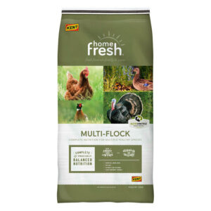 Home Fresh Chicken & Poultry Feeds - Kent