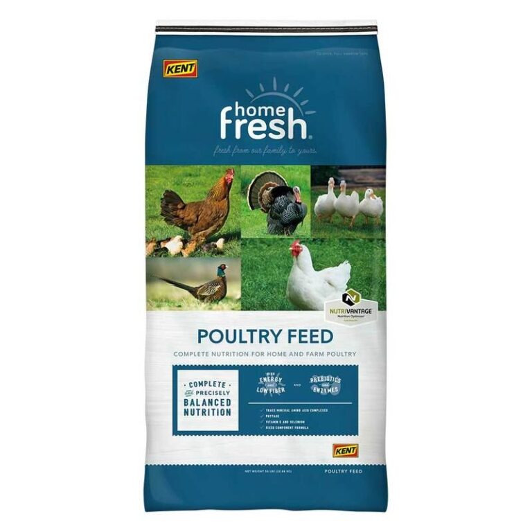 Poultry Feed For All Life Stages - Kent