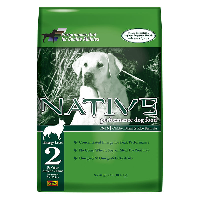 Native Level 2 - Kent